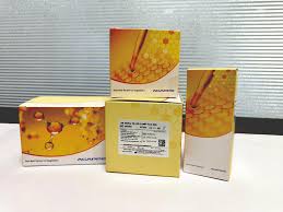 Agappe Creatinine Biochemistry Reagents for Best Accuracy