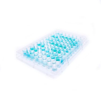 Immunoglobulin Bios Ft4 reagent Test Kit - Medistore